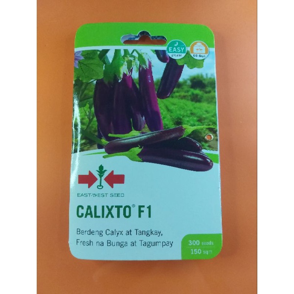 Calixto F1 (300 seeds) Hybrid Talong / Eggplant by East West Seed ...