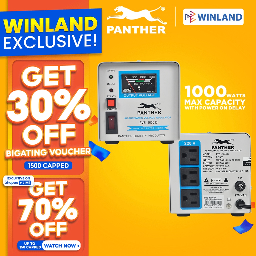 Panther by Winland AVR Relay Type 220V AC Output with 3-5 minutes Power ...