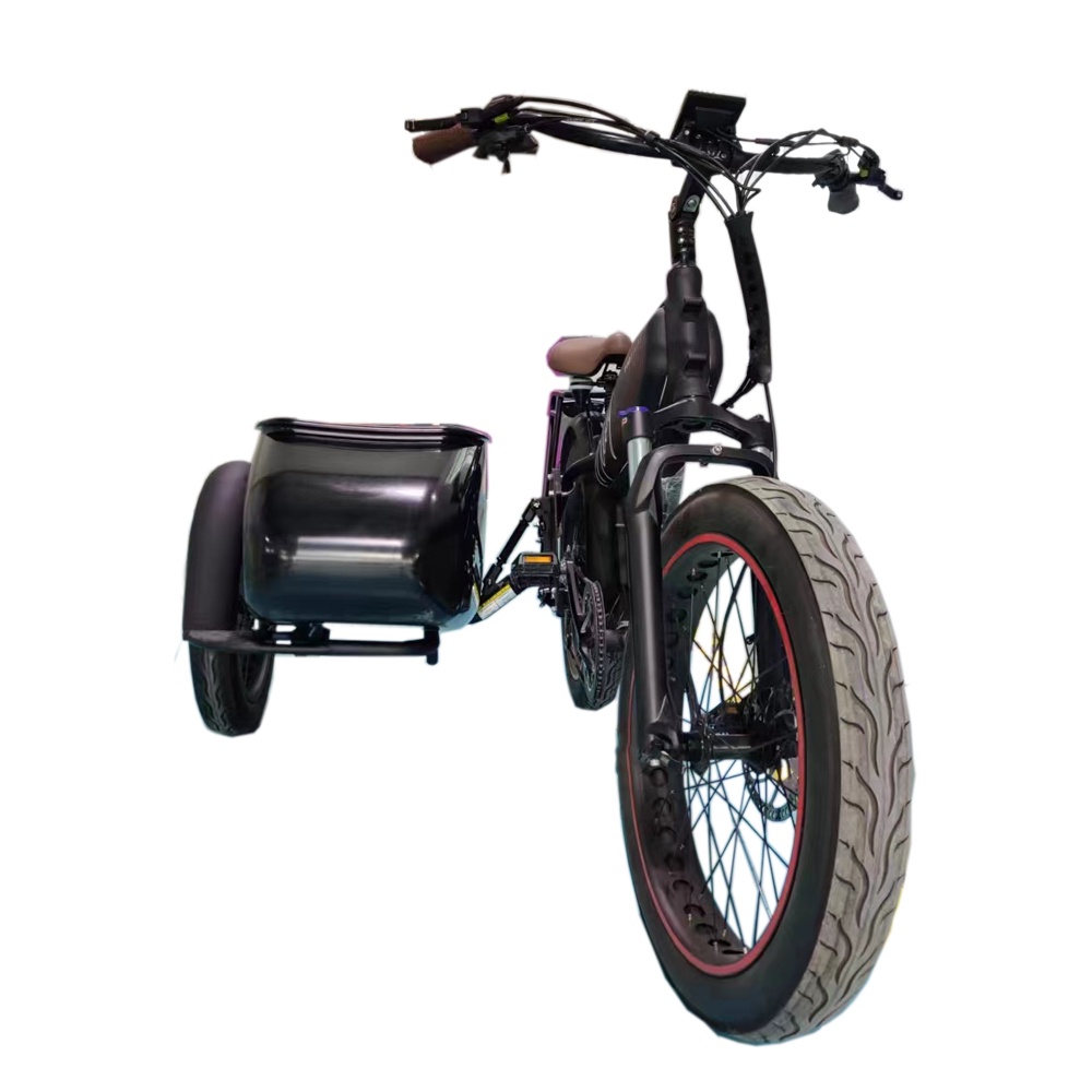 Side Car Fat Pedelec/250w Side E Bicycle/500w Sidecar Electric Bicycle ...