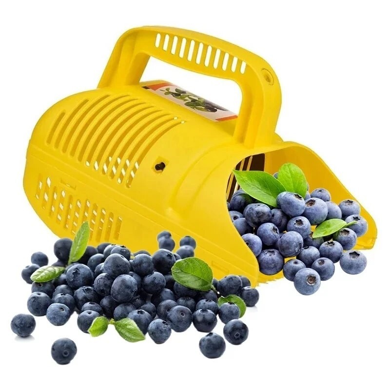 Portable Berry Picker Comb Rakes Picking Fruit Collecting Scoop Orchard
