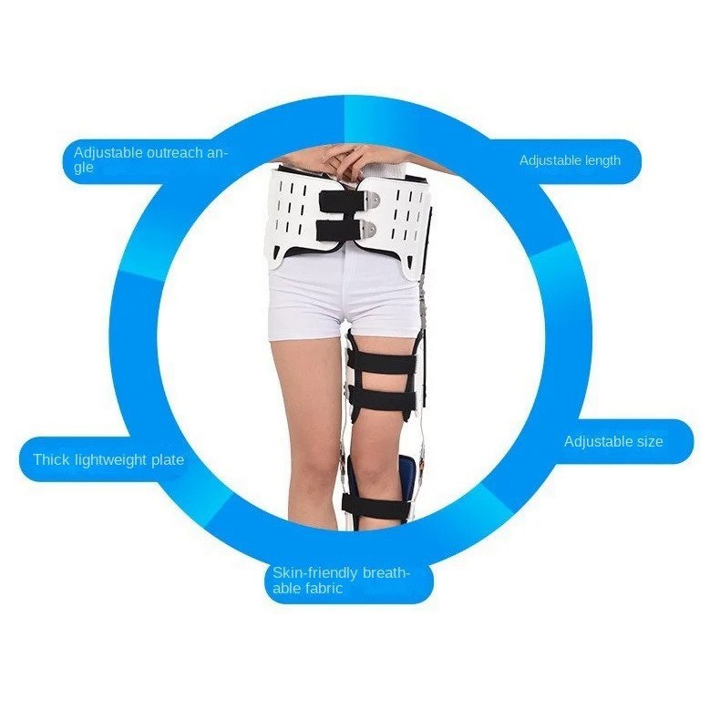 Lower Extremity Knee Meniscus Thigh Femoral Head Fracture Surgery ...