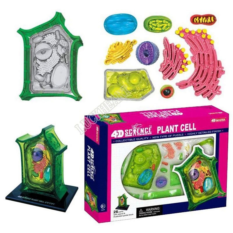 Anime 4D Master Animal Plant Cells Puzzle Assembling Toys Human Body ...