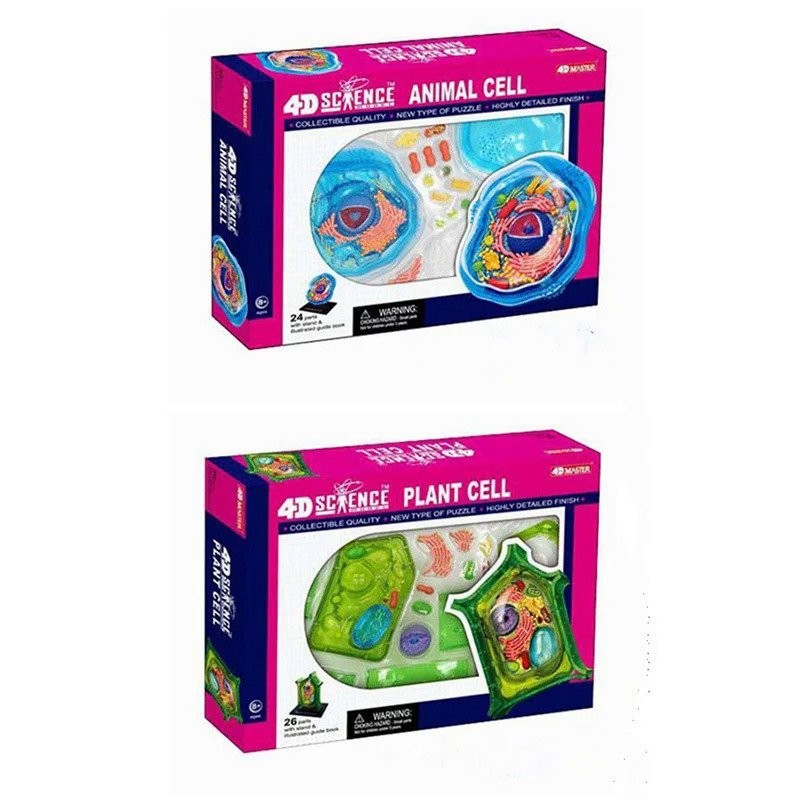 4D Puzzle toys animal and plant cells and organs Anatomical model DIY ...