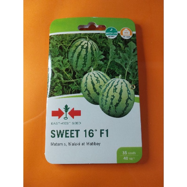 Sweet 16 F1 (35 seeds) Hybrid Striped Watermelon / Pakwan by East West ...