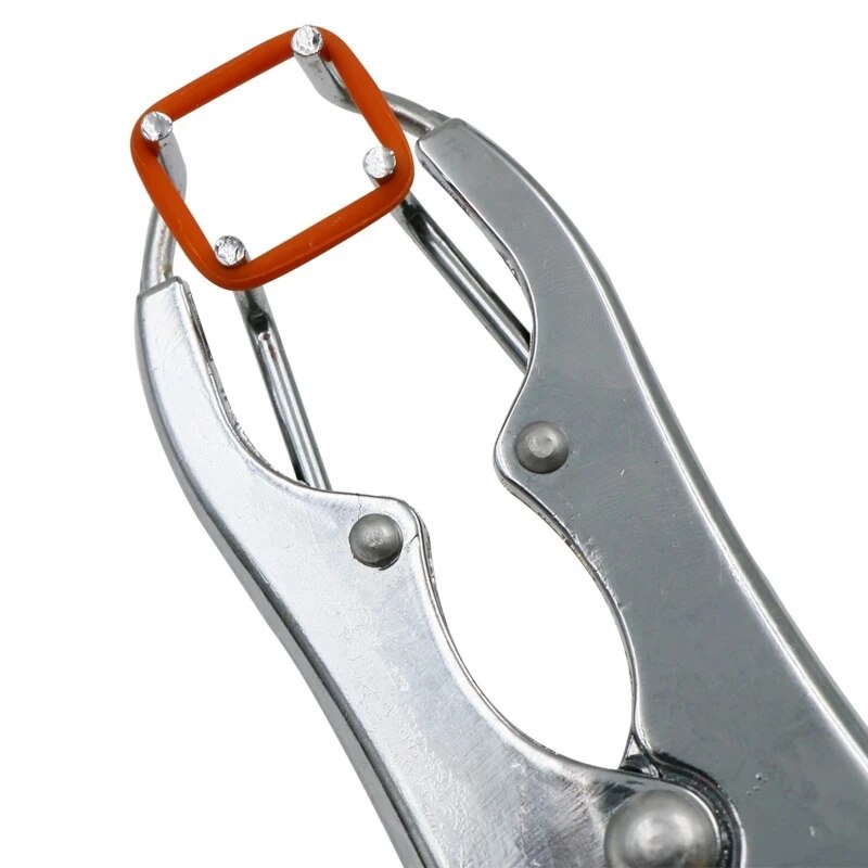 Sheep Tail Resection Removal Castration Pliers Farm Animal Bloodless ...