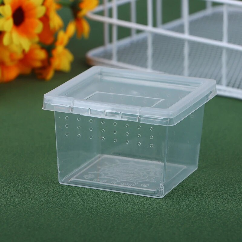 ♥1Pc Square Transparent Plastic Reptile Insect Spider Breeding Feeding ...