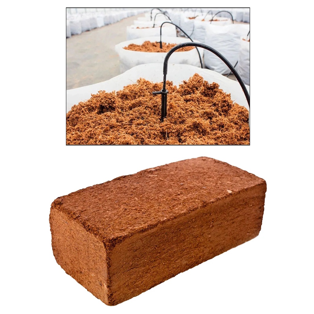 650g 9L Planting Coco Nutrient Soil Substrate Coconut Coir Bricks Coir ...