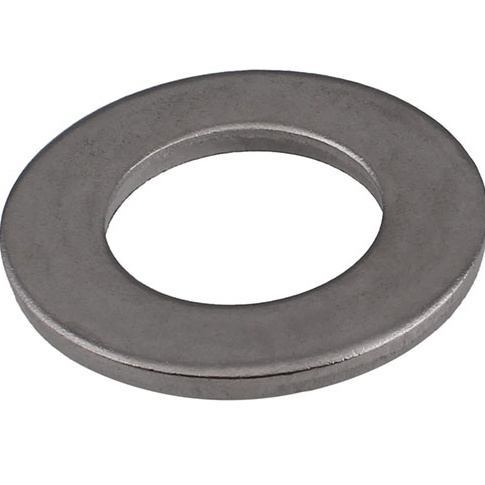 Large plain washers SS 304 Plain Washer | Shopee Philippines