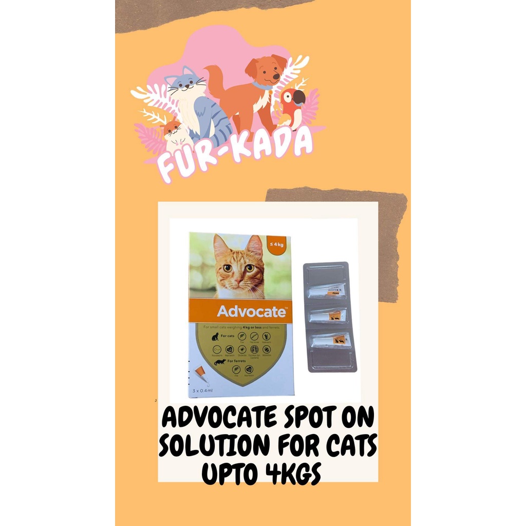 Advocate Spot on Solution for Cats upto 4KG | Shopee Philippines