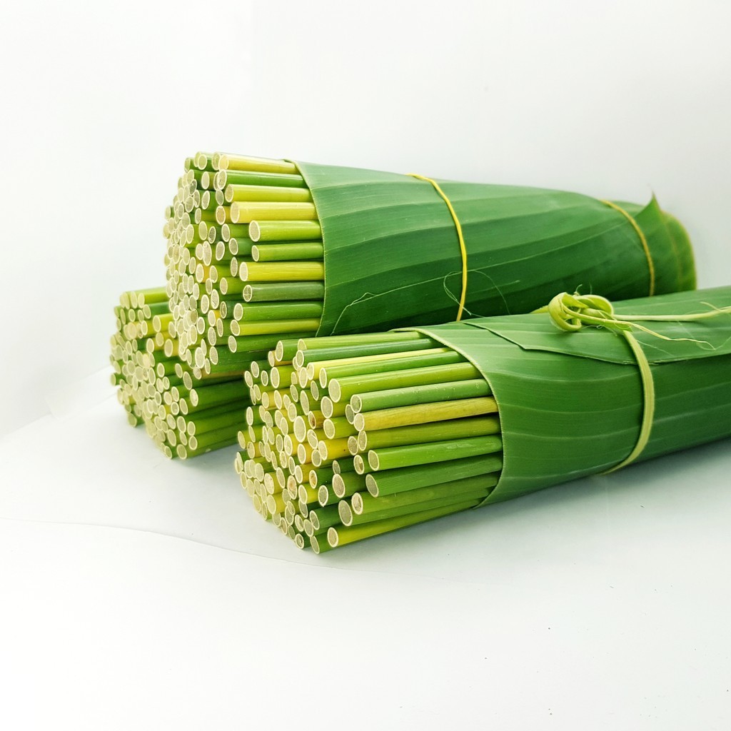 Single use grass straws/ biodegradable straws from Viet Nam | Shopee ...