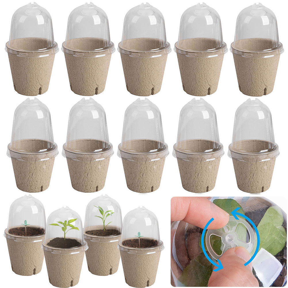 10Pcs Seedling Cup Seed Starter Transparent Lid Cultivation Pot ...
