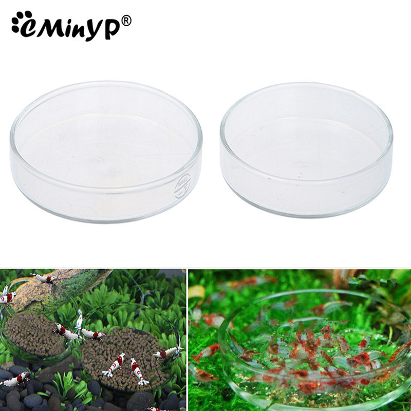 Clear Glass Aquarium Feeding Bowl Round Ornamental Shrimp Feeding Tray ...