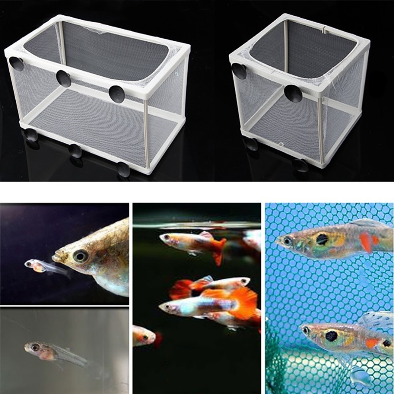 ~Aquarium Hatchery Net Fish Breeding Isolation Box Fry Hatching ...
