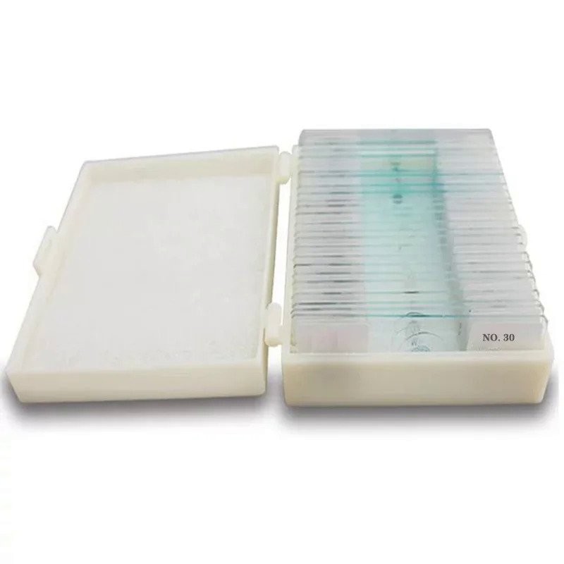 Homeschool Teaching Slides 30pcs Basic Histology Tissue Microscope ...
