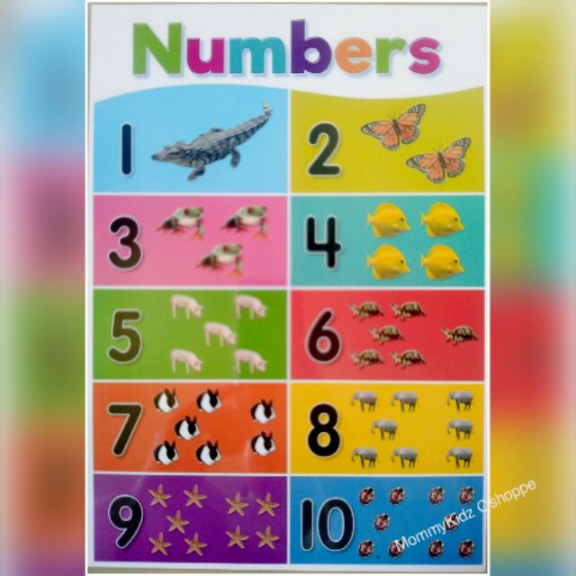 ♂ COD Numbers 1-10 A4 size Educational Wall Chart | Shopee Philippines