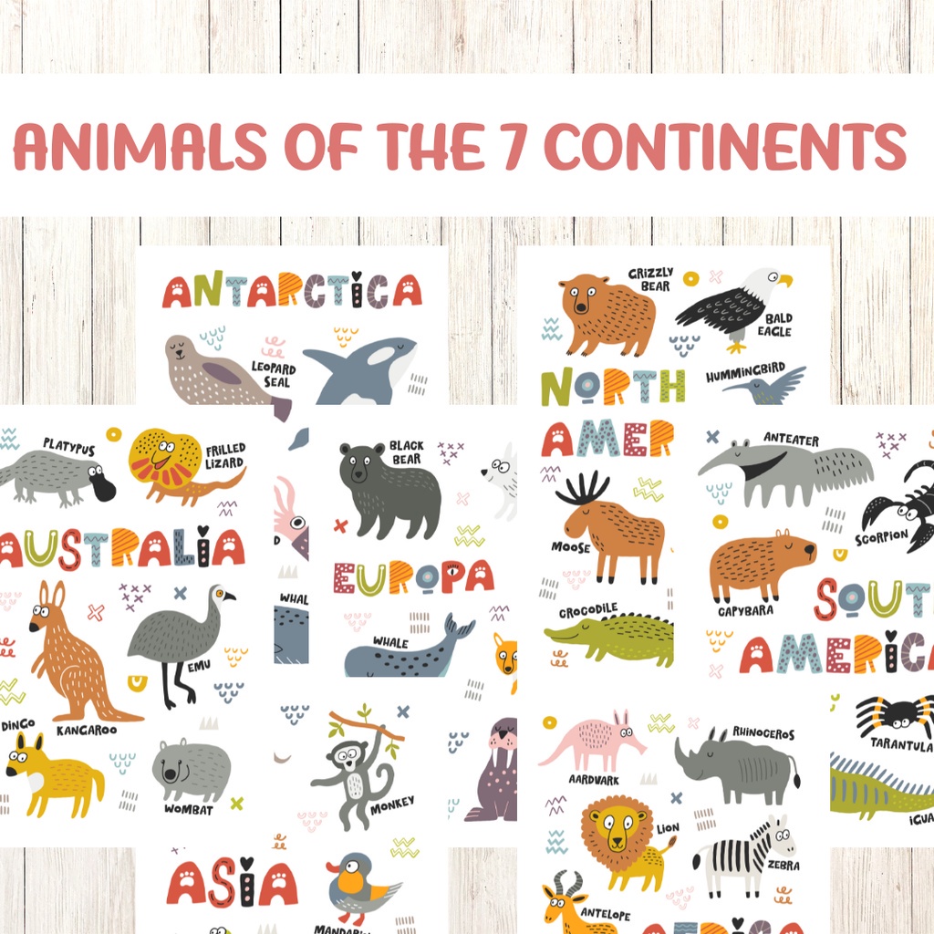 ☑A4 A3 Cute Animals of Seven Continents, Educational Chart Poster for ...