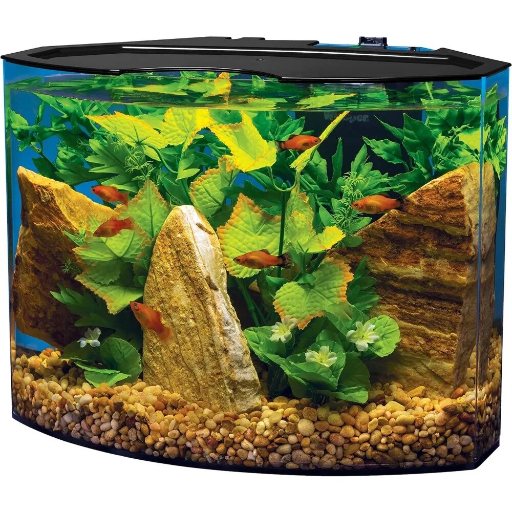 Curved-Front Tank With LEDs Aquaponics Crescent Aquarium Kit 5 Gallons ...
