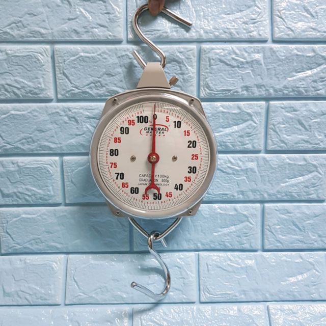General Master Dial scale/Analog scale Hanging scale 100kg | Shopee ...