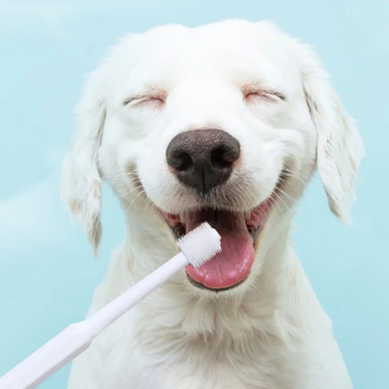 ☽Dog Toothbrush Cat Toothbrush Teeth Brush for Dogs Mouth Cleaning ...
