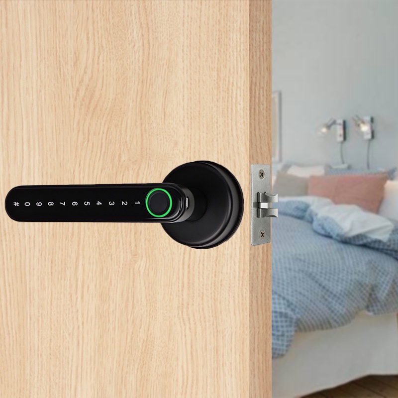 ttlock app smart outdoor gate electronic keyless door lock | Shopee ...
