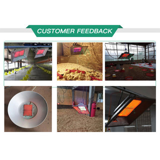 Poultry Farm Infrared Ceramic Gas Heater Portable Chicken NG LPG Gas ...