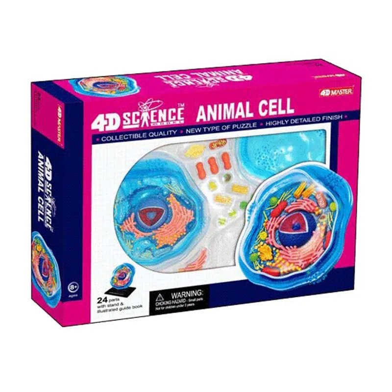 Biological animal cell organ anatomy model 4D master puzzle assembly ...