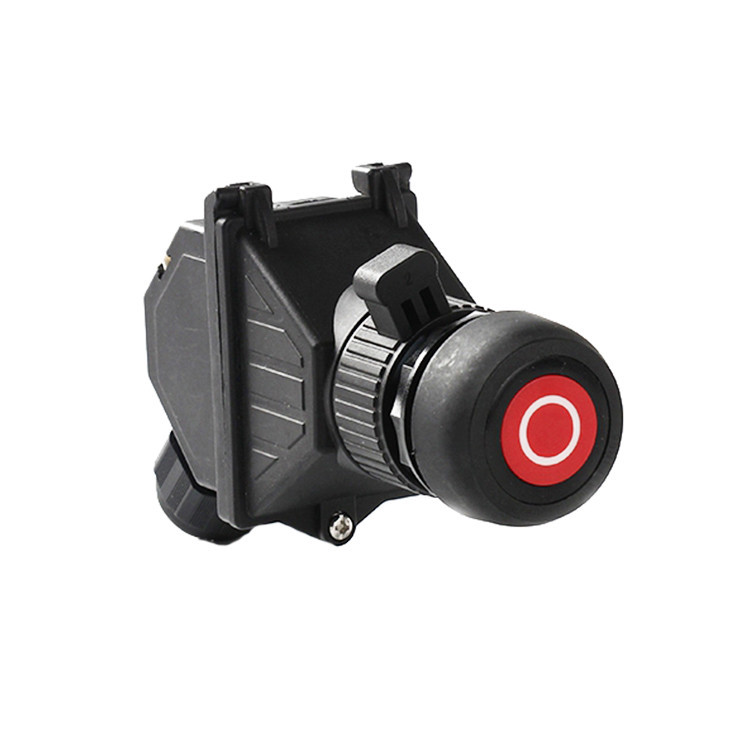 atex Panel mounted explosion-proof buttons and switches Positions Push ...