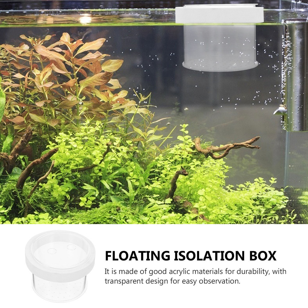 Betta Fish Tanks Isolation Box Betta Fish Tanks Floating Aquarium ...