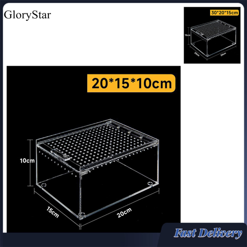 GloryStar Transparent Habitat Cage Reptile Lizards Roach Invertebrates ...