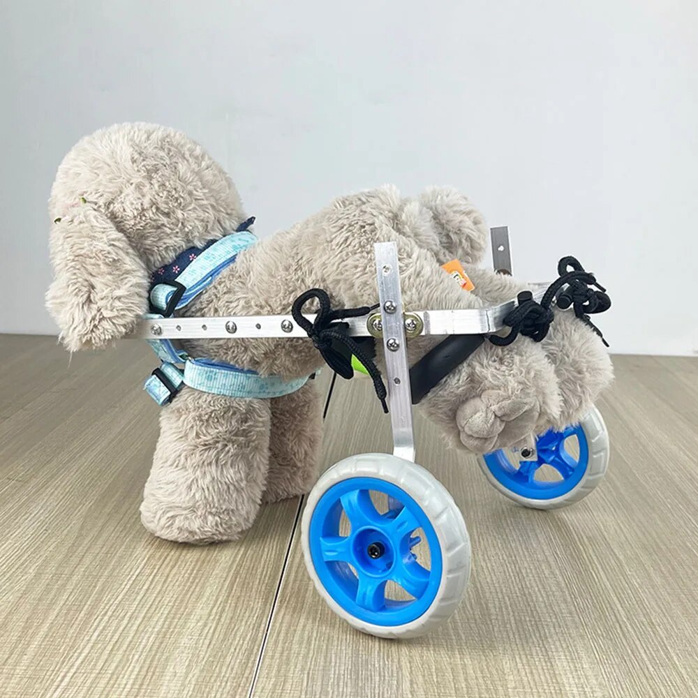 Two-Wheel Dog Wheelchair Cart Pet Disability Walker Wheelchair Agility ...