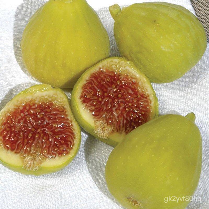 Desert King fig fig tree is delicious, sweet, very fragrant, very ...