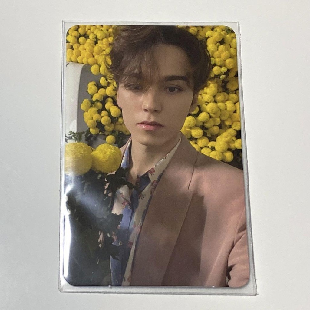 SEVENTEEN YOUR CHOICE ONE SIDE OTHER SIDE BESIDE OFFICIAL PHOTO CARD / S.COUPS JEONGHAN JOSHUA ...