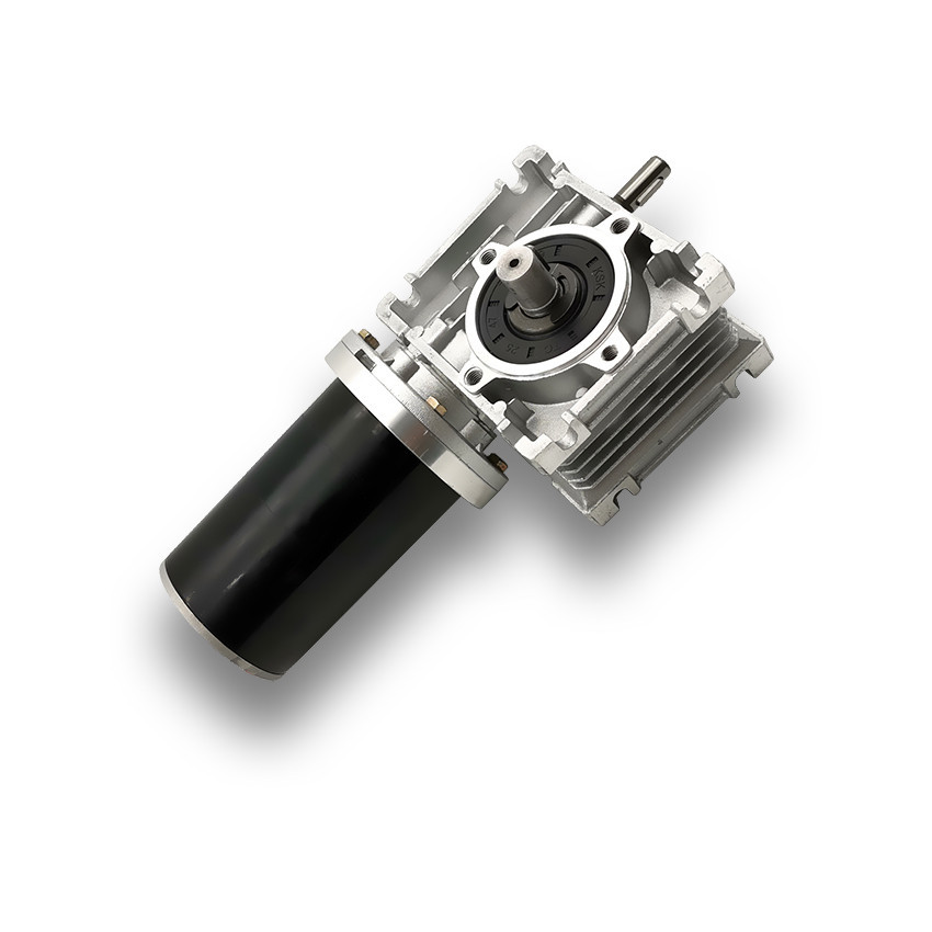 E210 Good Quality High Torque Low RPM 12V 24V Dual Shaft Motor For ...