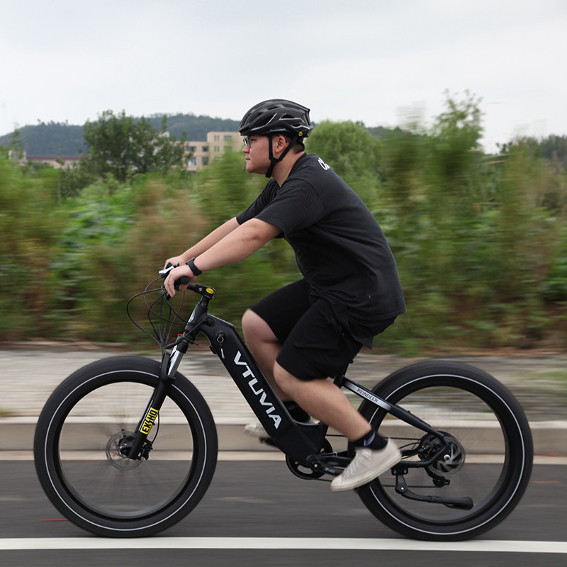 VTUVIA new 14ah hidden Li-ion battery mountain Ebike fat tire 48V 250W ...