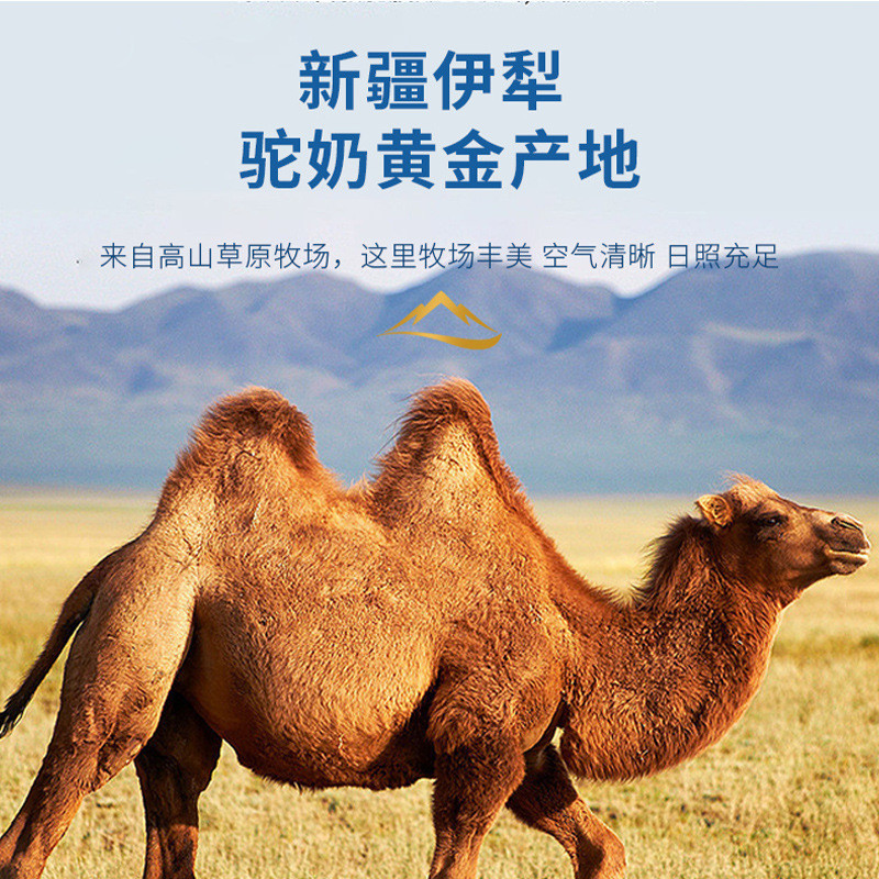 2024.seckill.COD Camel Tablets Xinjiang Tablet Content Calcium Tablets ...