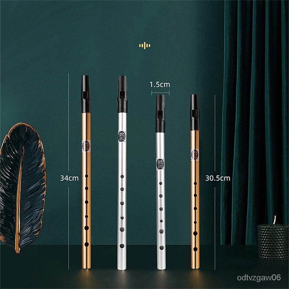 Irish Whistle Flute C/D Key Ireland Tin Penny Whistle 6 Hole Flute ...