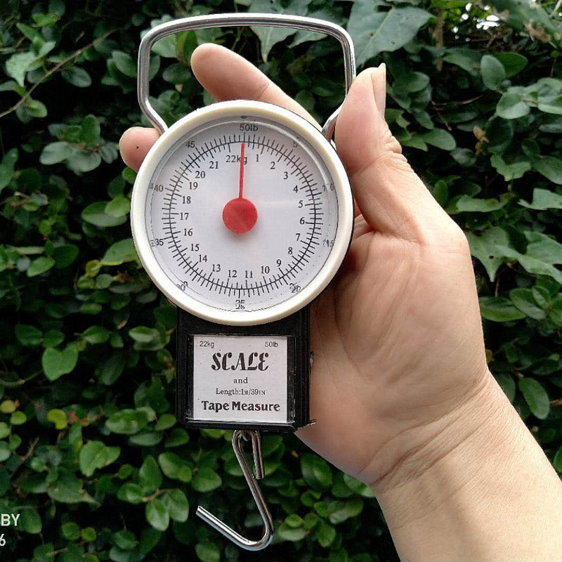 50LB Portable Mechanical Dial Scale Hanging/Fish/Luggage/Kitchen Scale ...