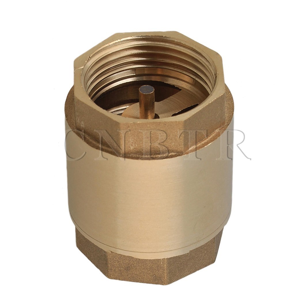 CNBTR 1''BSPP Lead-Free Spring Loaded in-Line Check Valve with Threaded ...