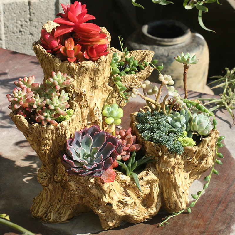 American Broken Root Shape Wood Succulent Resin Flower Pot Outdoor ...