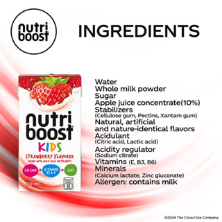 Nutriboost Strawberry 110mL - Pack of 12 | Shopee Philippines
