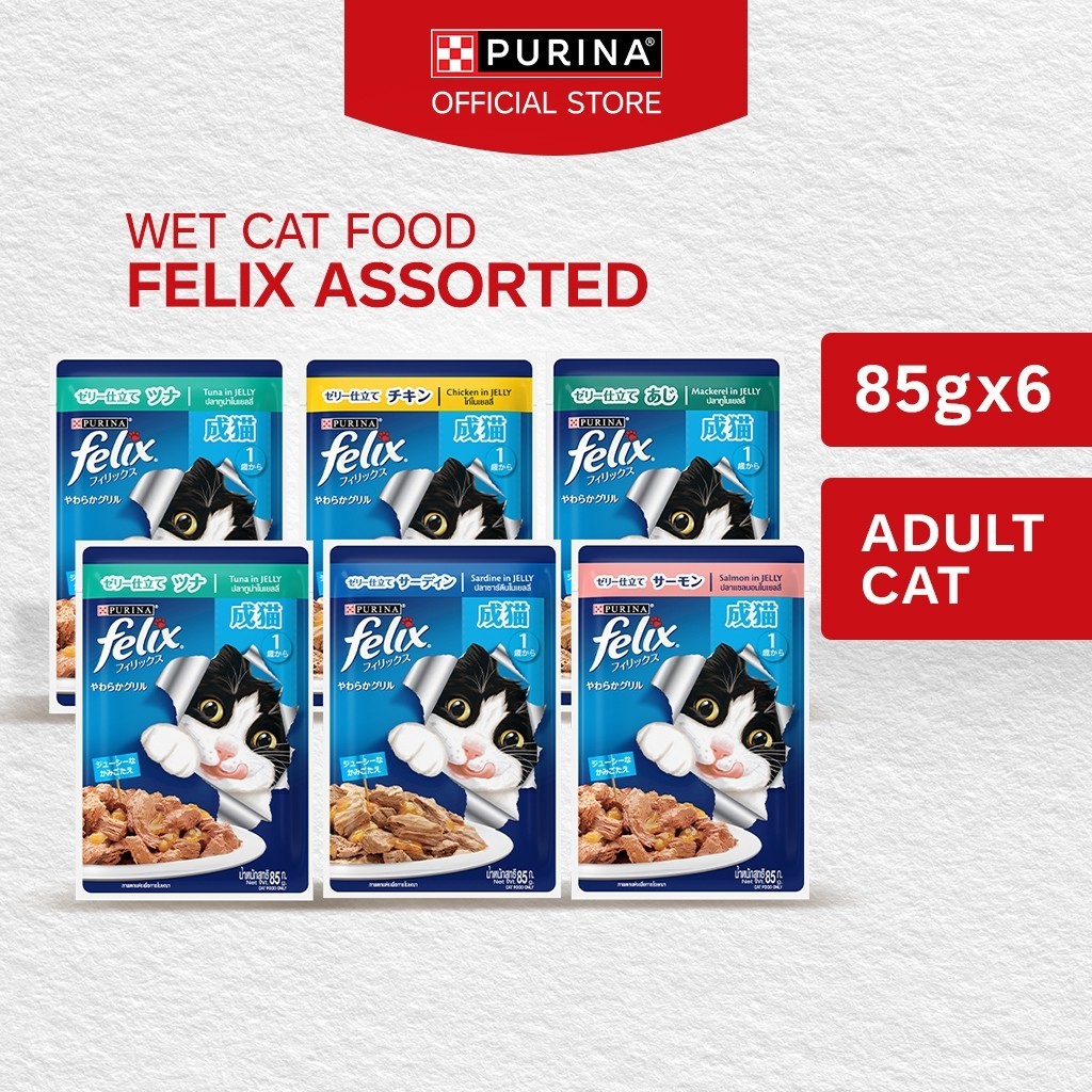 PURINA FELIX Adult Cat Assorted 85g x6 | Shopee Philippines