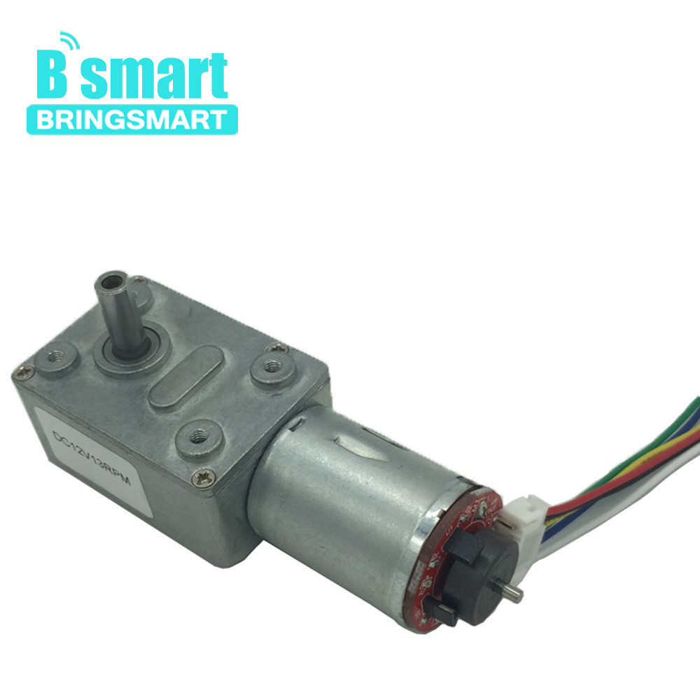 ~Bringsmart 6V 12V 24V Low Speed DC Electric Motor Worm Encoder Disk High Torque Micro Gearboxe ...