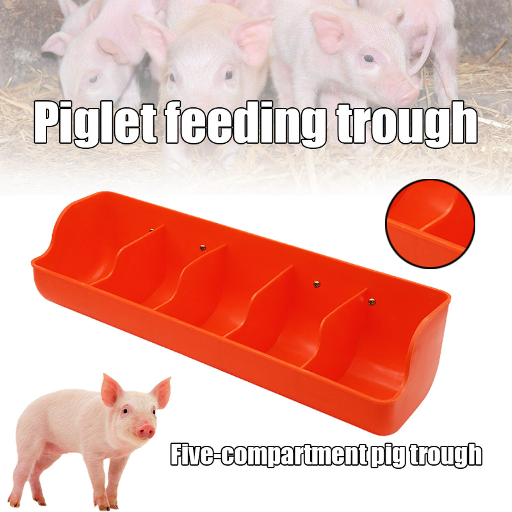 1PCS Plastic Piglet Trough Automatic Feeding Five Grids Pig Sow Feeder ...