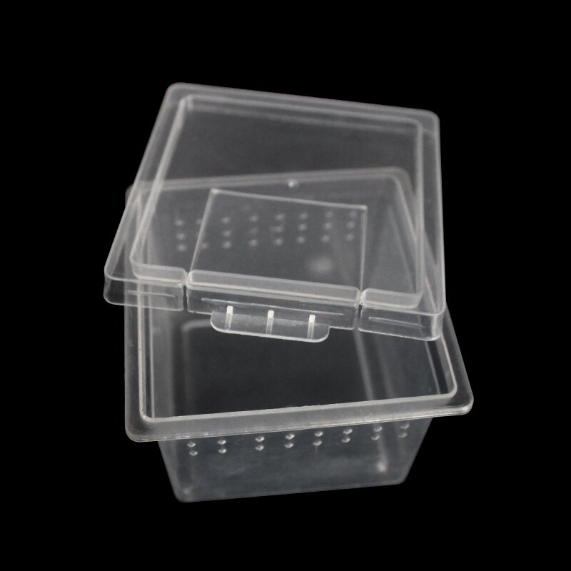 Feeding Box Reptile Cage Hatching Container Rearing Tank for Lizards ...