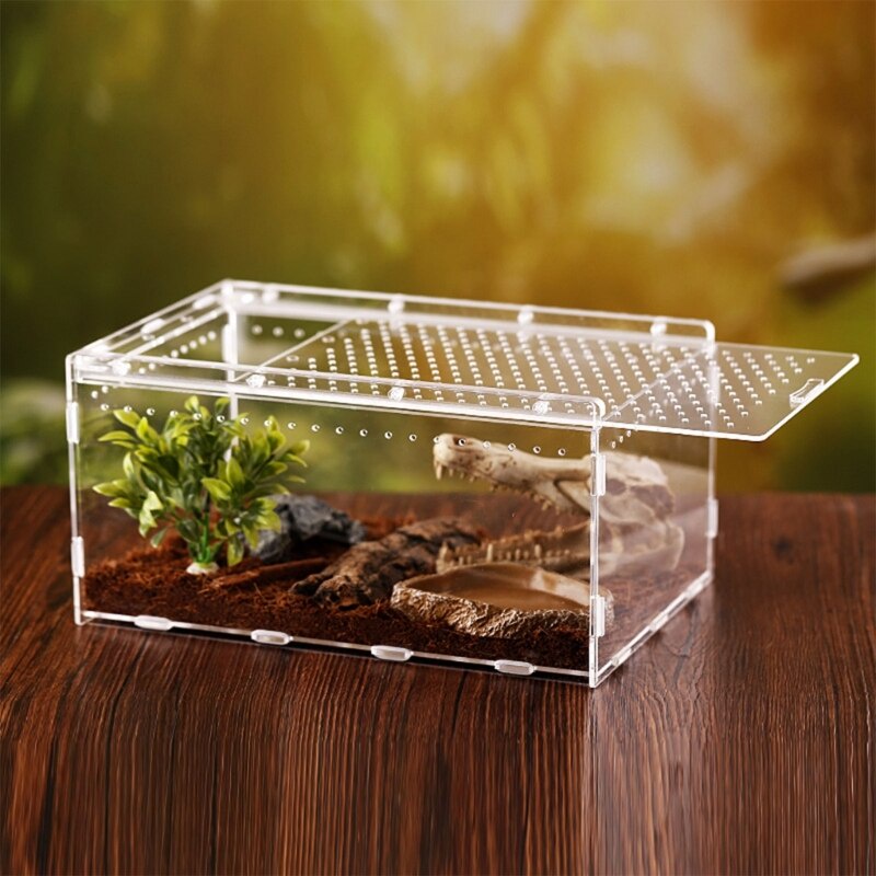 Clear Acrylic Mini Insect Tanks for Lizards Hermit-Crabs Geckos Frogs ...