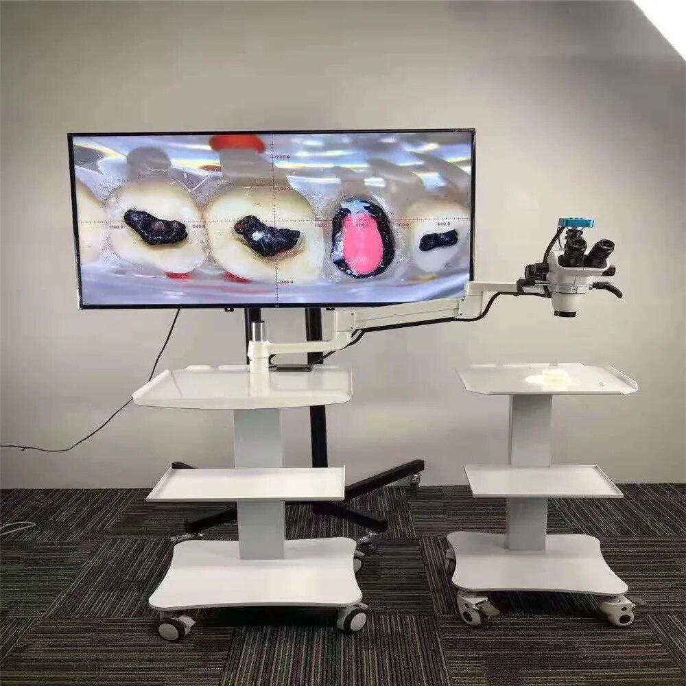 Trolley Type 5W Dental Root Canal Therapy Operating Microscope Loupe ...