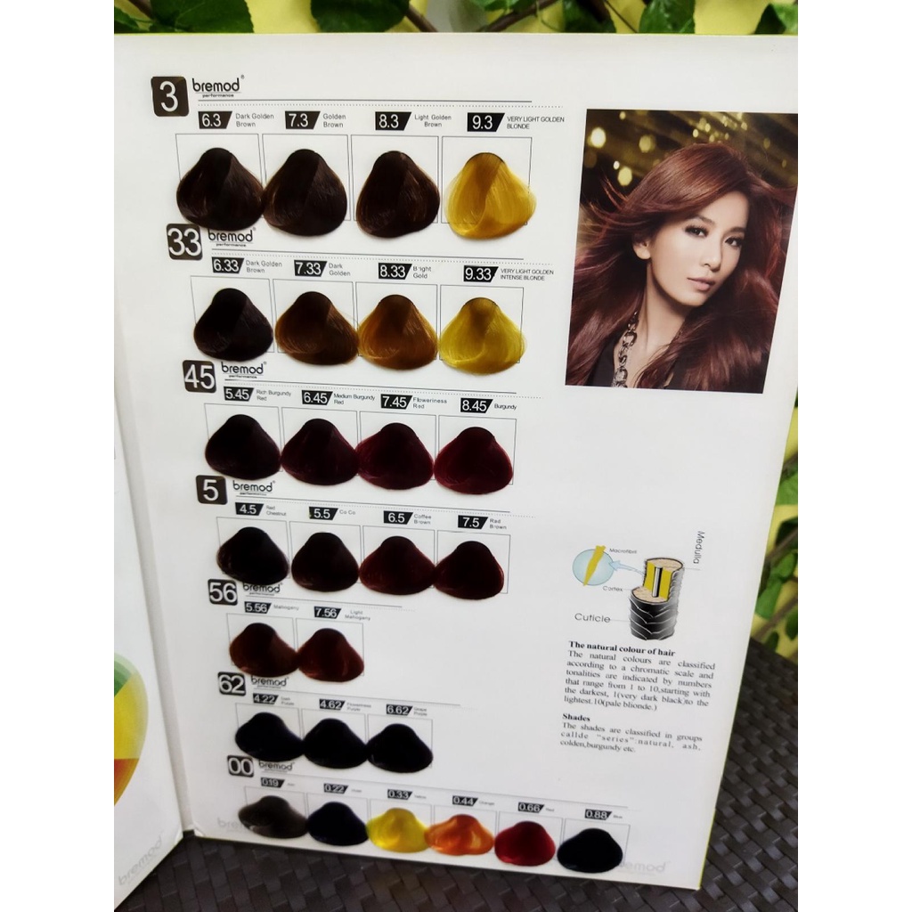 Bremod Performance Hair Coloring Chart Color Brochure Bremod | Shopee ...
