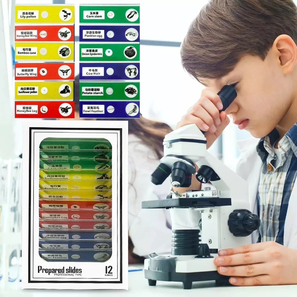 Kid Science Experiment Pocket Microscope Lab LED Light 60-120x Battery ...