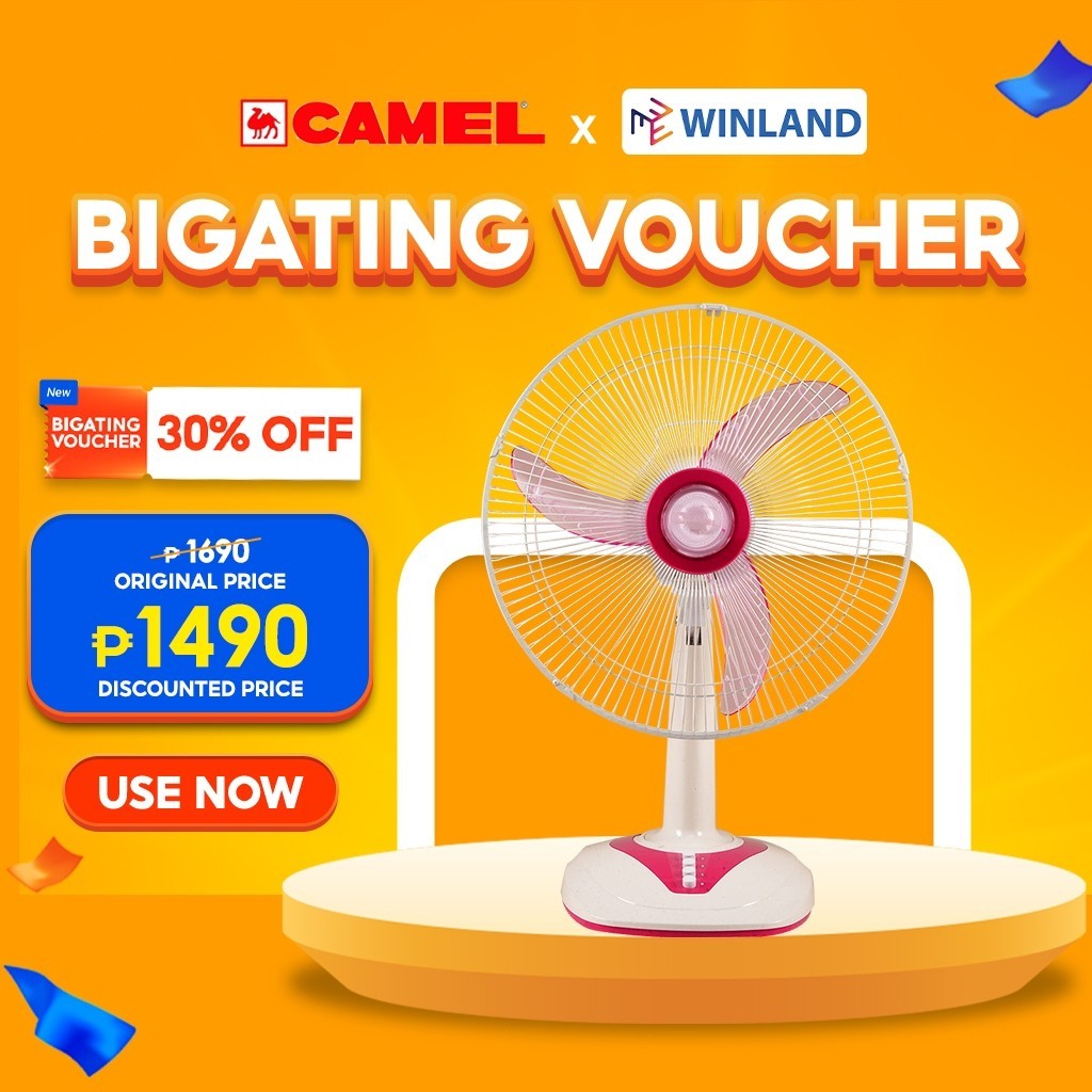 Camel Appliances by Winland 16 Inches Amihan Electric Fan Stand Ground ...