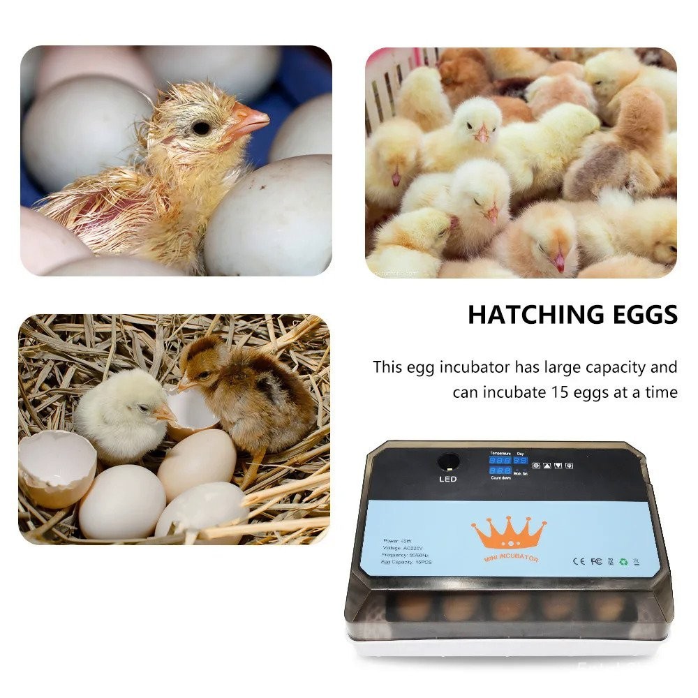 15 Eggs Incubator Mini Upgrade Automatic Brooder Chicken Automatic ...